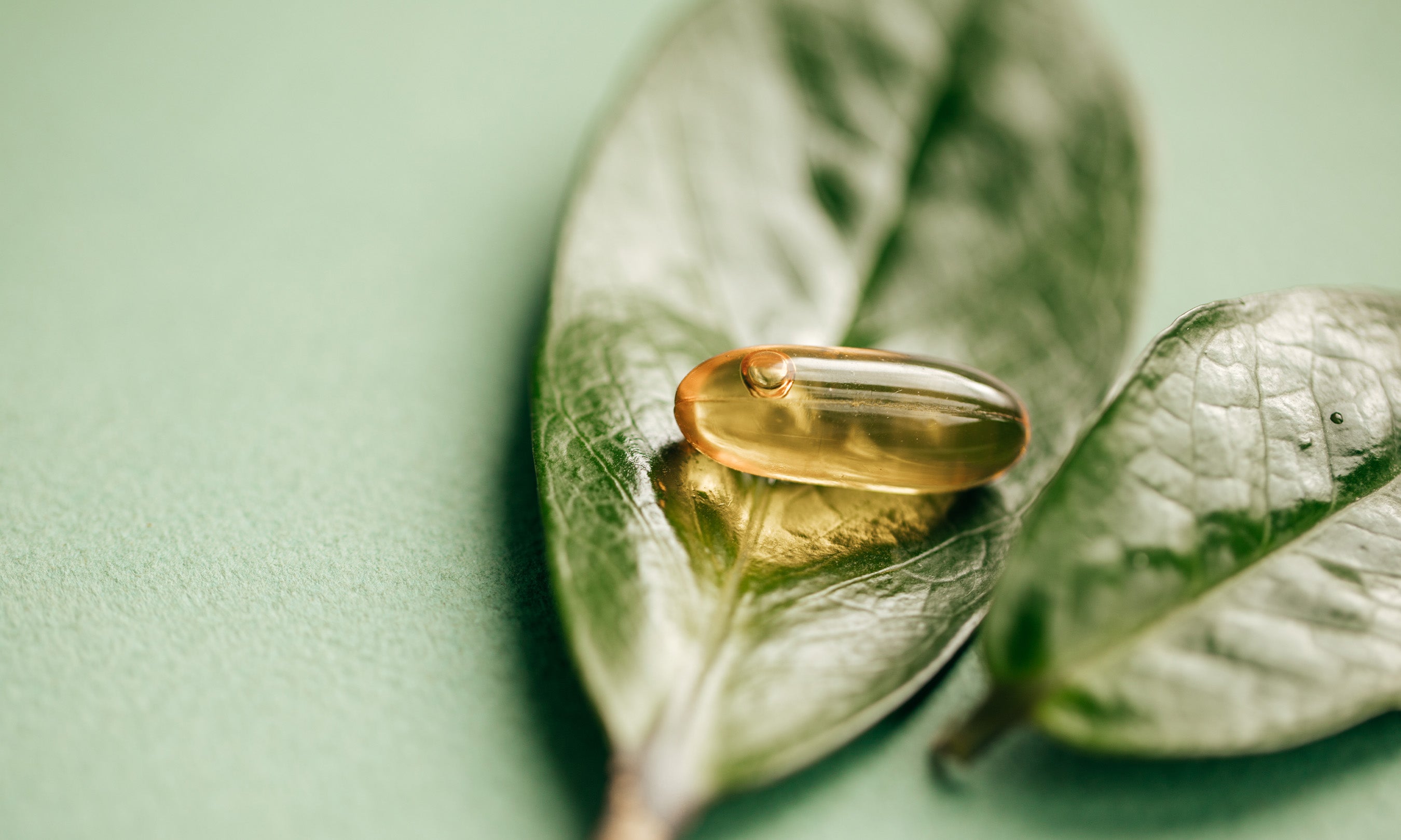 Optimizing Health with Omega-3: Introducing Omega 3 Health by Lifework – LifeWorks Nutritionals